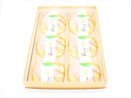 SHIMIZU HAKUTO JELLY | K. Minamoto